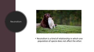 Population Functions of Organisms | PPT