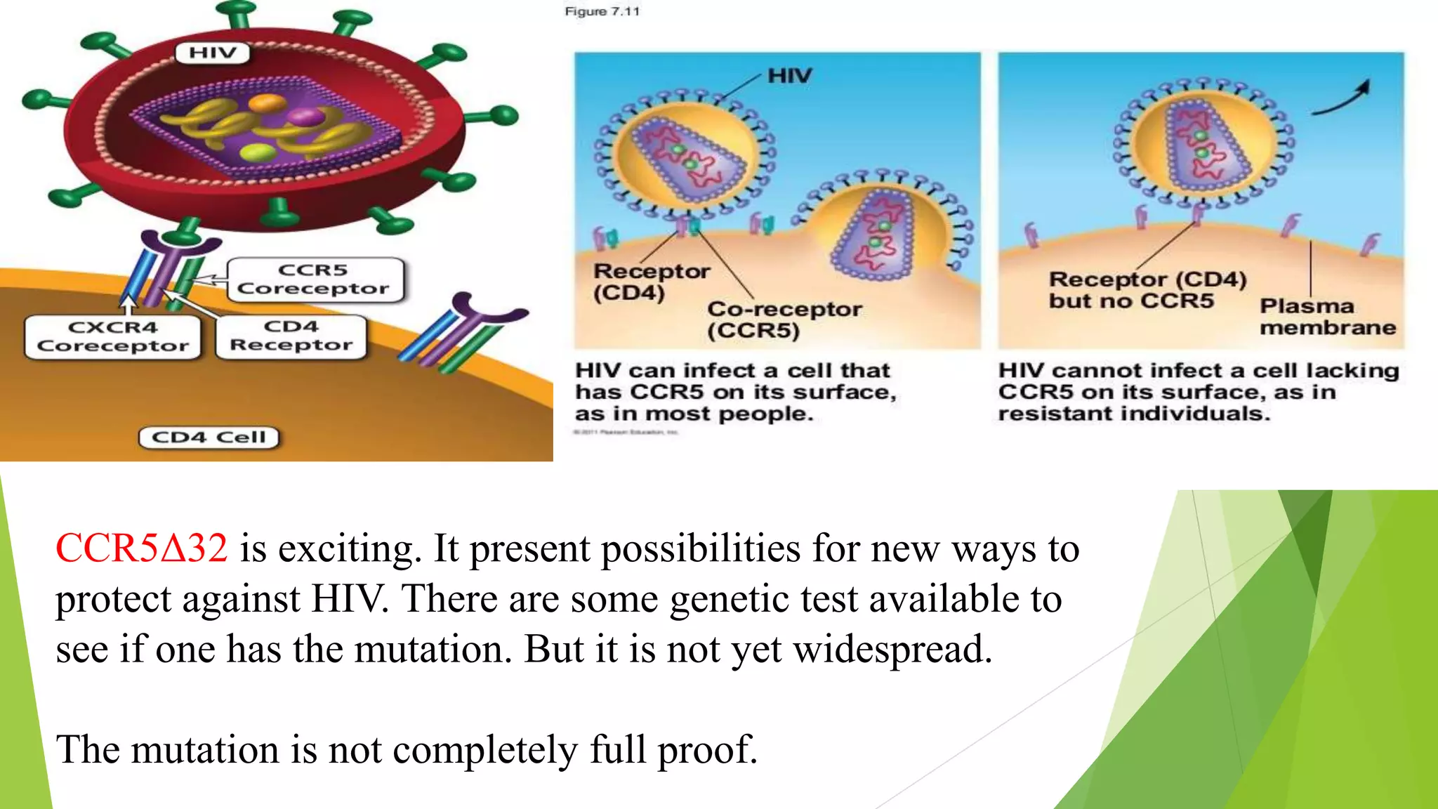 Population genetics - How HIV-1 affect the body. CCR5 delta32 | PPTX