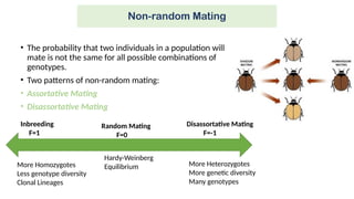 Understanding Population Genetics and the Hardy-Weinberg Principle ...