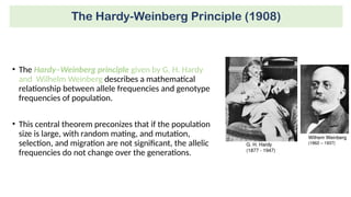 Understanding Population Genetics and the Hardy-Weinberg Principle ...