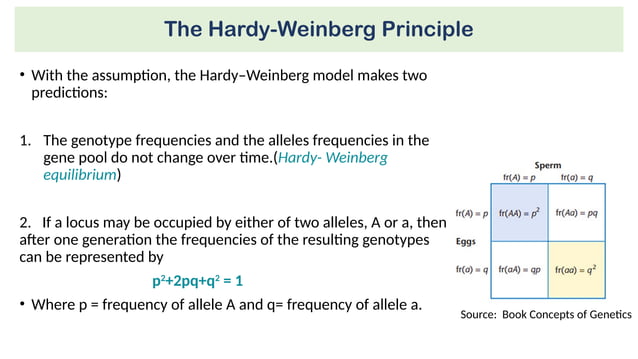 Understanding Population Genetics and the Hardy-Weinberg Principle ...