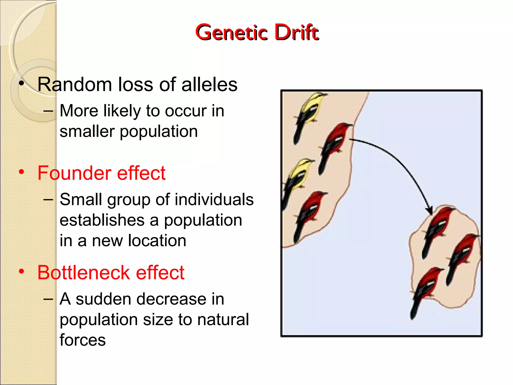 Population genetic ppt | PPT