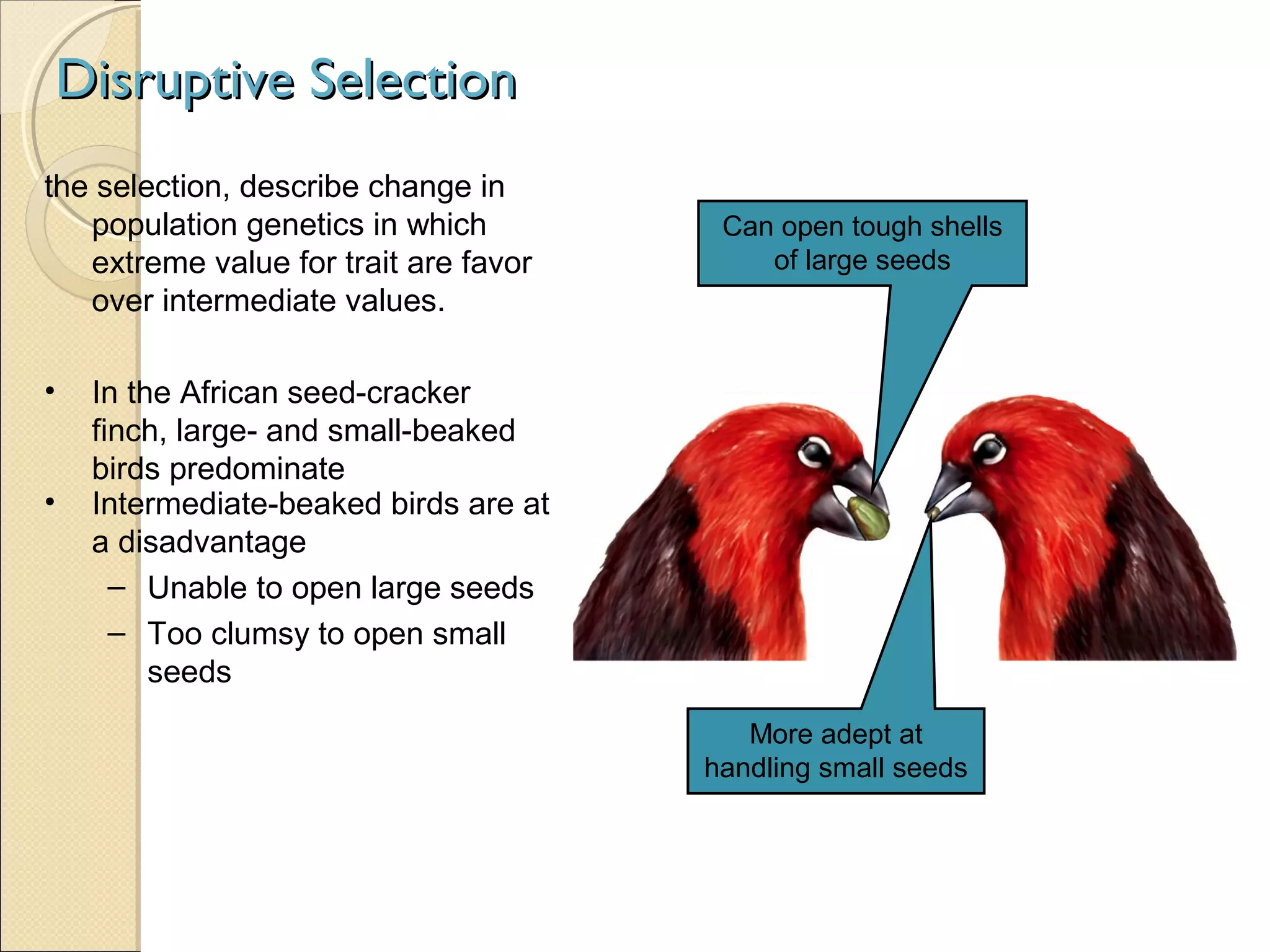 Population genetic ppt | PPT