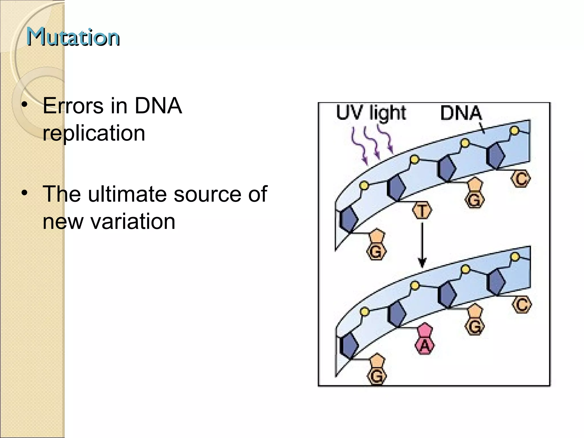 Population genetic ppt | PPT