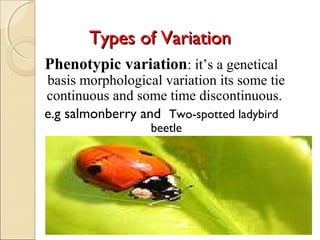 Population genetic ppt | PPT