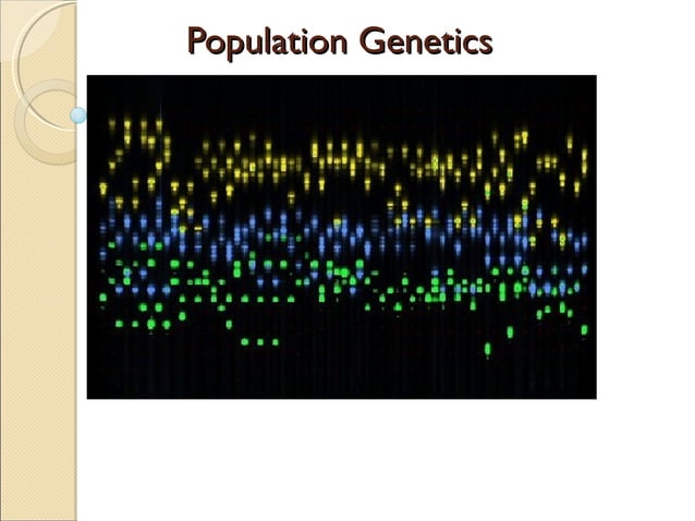 Population genetic ppt | PPT | Genetics | Science