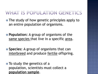 Population genetics | PPTX
