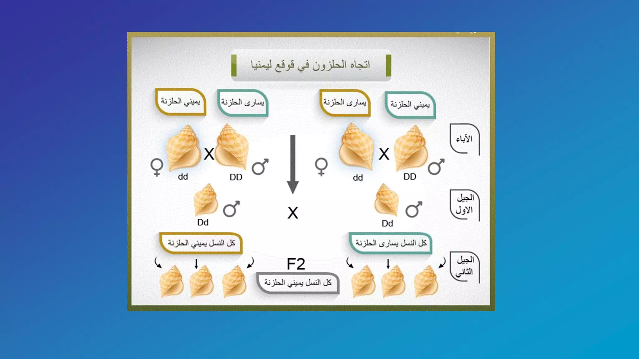 Population genetics | PPTX