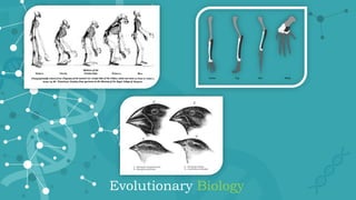Population genetics | PPTX