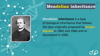 Population genetics | PPTX