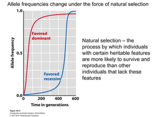 Population genetics | PPT