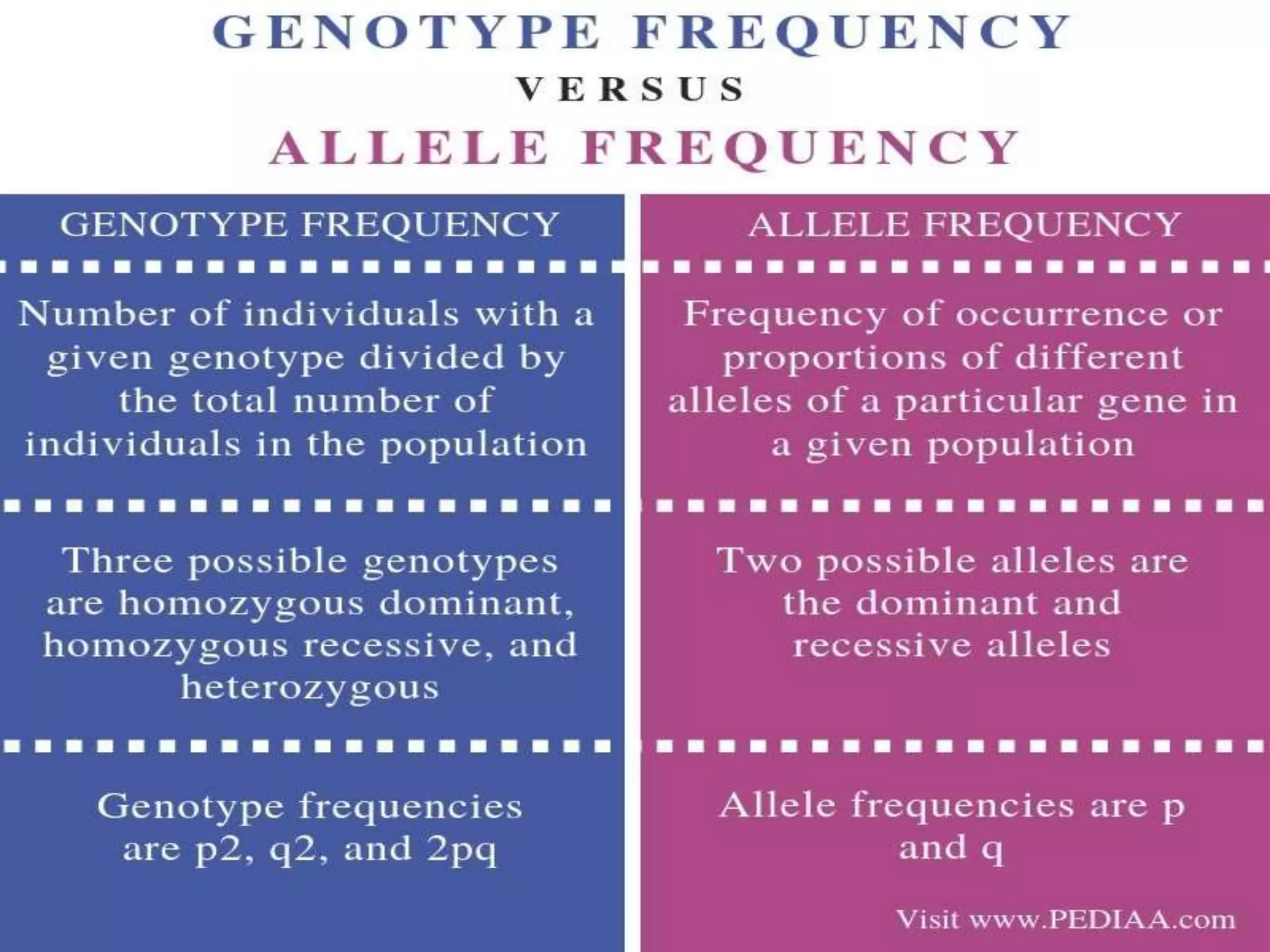 Population genetics | PPTX