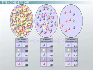 Population genetics | PPTX