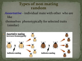 Population genetics-hardy weinberg equilibrium and non random matting | PPT
