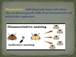 Population genetics-hardy weinberg equilibrium and non random matting | PPT