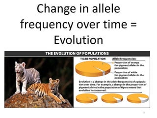 1307 Population genetics | PPTX