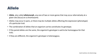 POPULATION GENETICS | PPTX | Genetics | Science