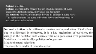 Population Genetics.pptx