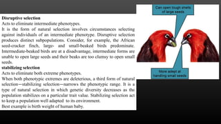 Population Genetics.pptx