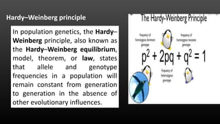 Population Genetics.pptx