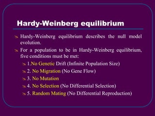 Population Genetics.ppt