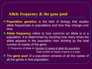 Population Genetics.ppt