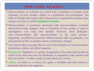 Comprehensive Overview of Population Genetics: Allele Frequencies ...