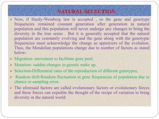Population Genetics | PDF