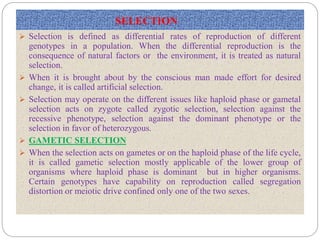 Population Genetics | PDF