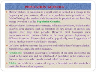 Population Genetics | PDF