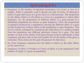Population Genetics | PDF