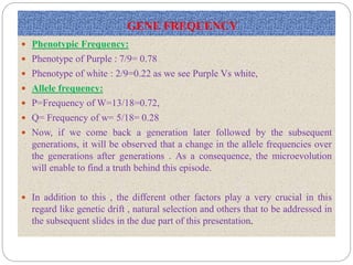 Population Genetics | PDF