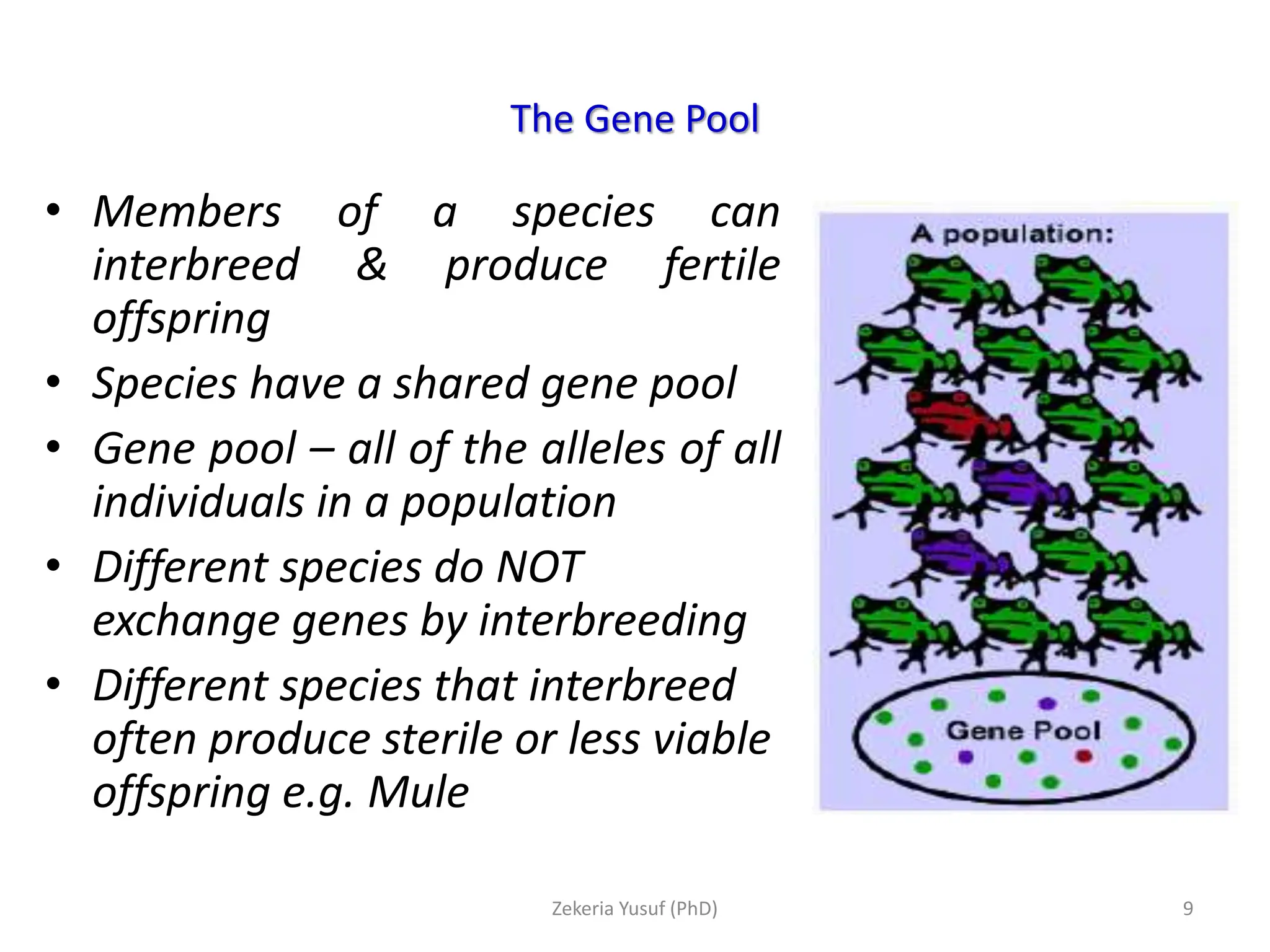 Population Genetics lecture note by ZY.pptx