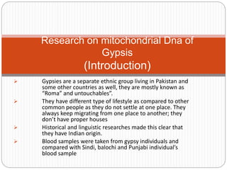 population genetics-ppt.pptx | Genealogy and Ancestry | Hobbies & Interests