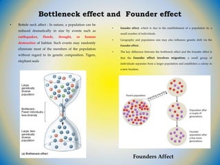 Population genetics 2 | PDF