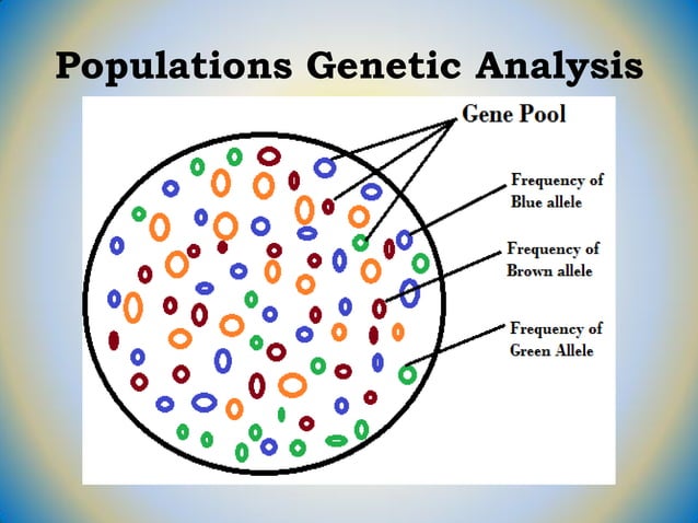 Population genetics 2 | PPT