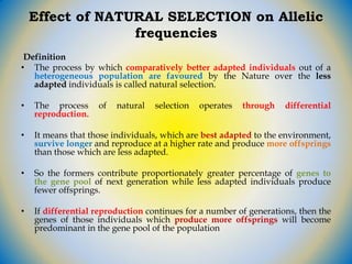 Population genetics 2 | PDF
