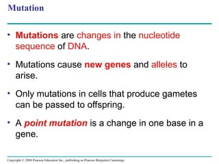 Campbell population genetics and evolution.ppt