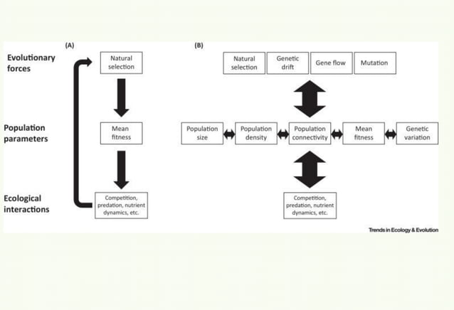 Population genetics basic concepts | PDF