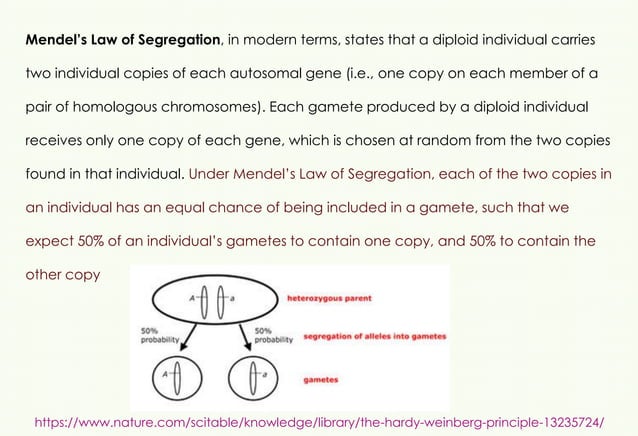 Population genetics basic concepts | PDF