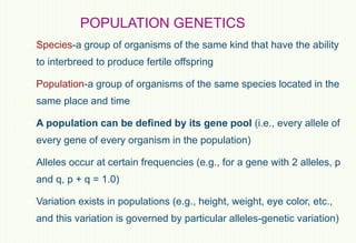 Population Genetics Definition