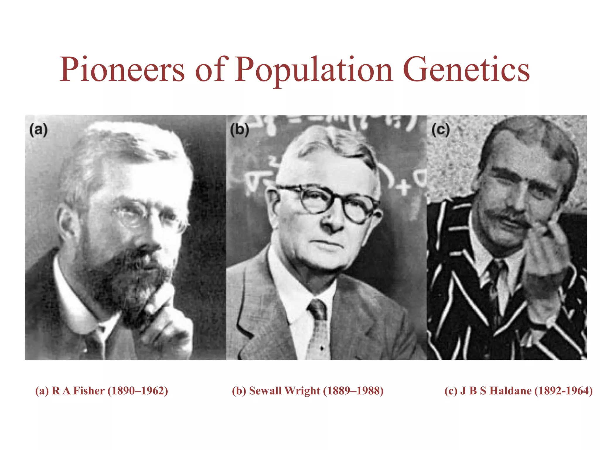 Population Genetics_Dr. Ashwin Atkulwar | PDF