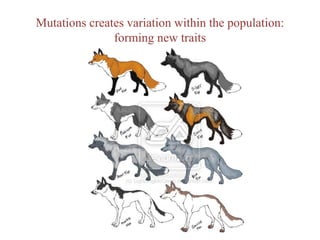 Population Genetics_Dr. Ashwin Atkulwar | PDF