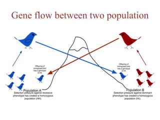 Population Genetics_Dr. Ashwin Atkulwar | PPT