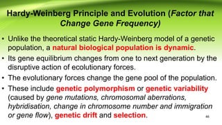 Population Genetics & Hardy - Weinberg Principle.pdf