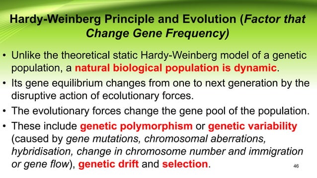 Population Genetics & Hardy - Weinberg Principle.pdf | Genetics | Science