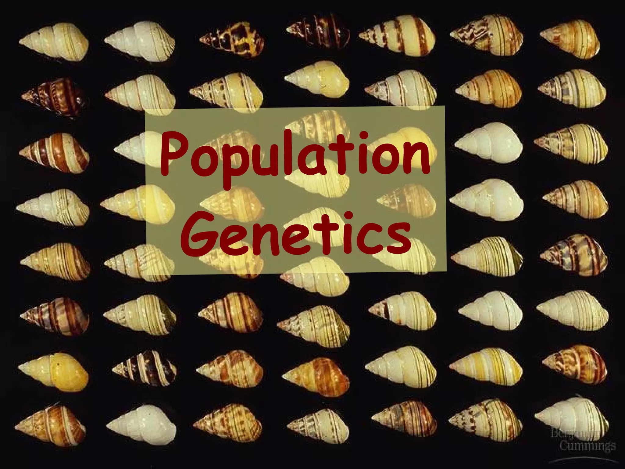Population genetics with qs | PPT