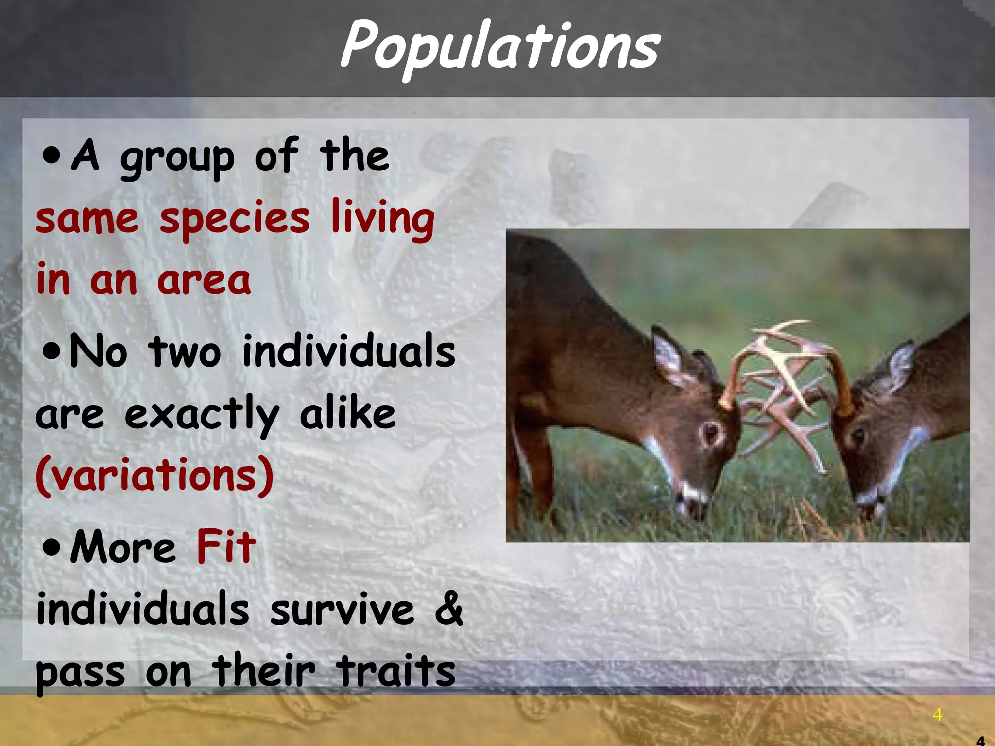 Population genetics with qs | PPT