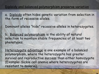 Population genetics with qs | PPT