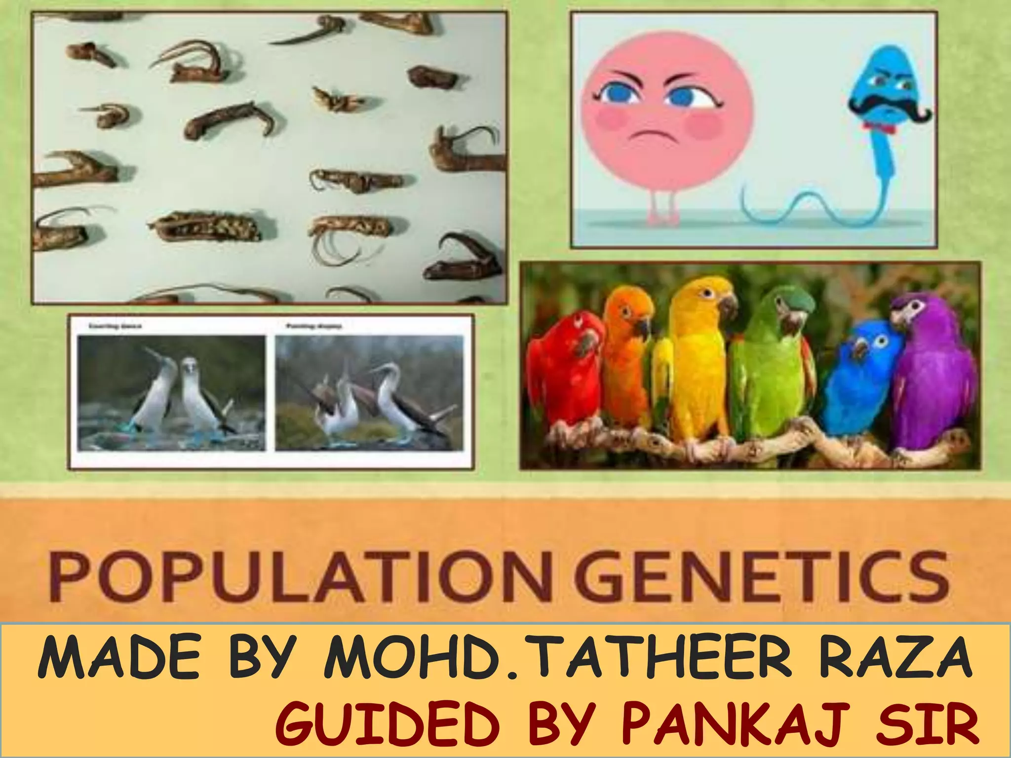 POPULATION GENETICS | PPTX